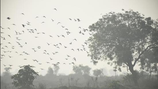 Air quality in Noida, Ghaziabad improves to ‘poor’ after a week ...