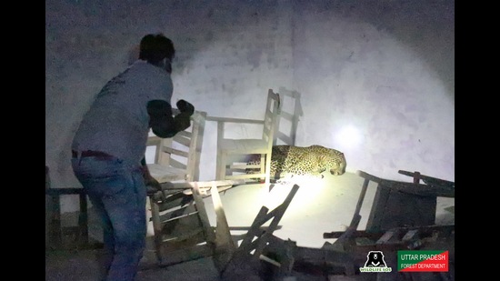 Leopard enters school in Aligarh, injures student | Hindustan Times