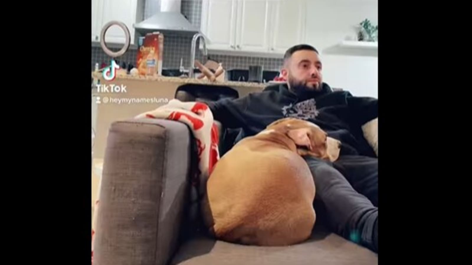 Ever-ready to protect, doggo quickly runs as human acts like he's ...