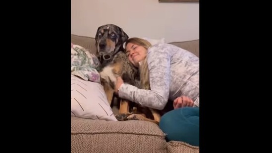 This doggo doesn’t love cuddles, watch his reaction to his human’s hugs ...