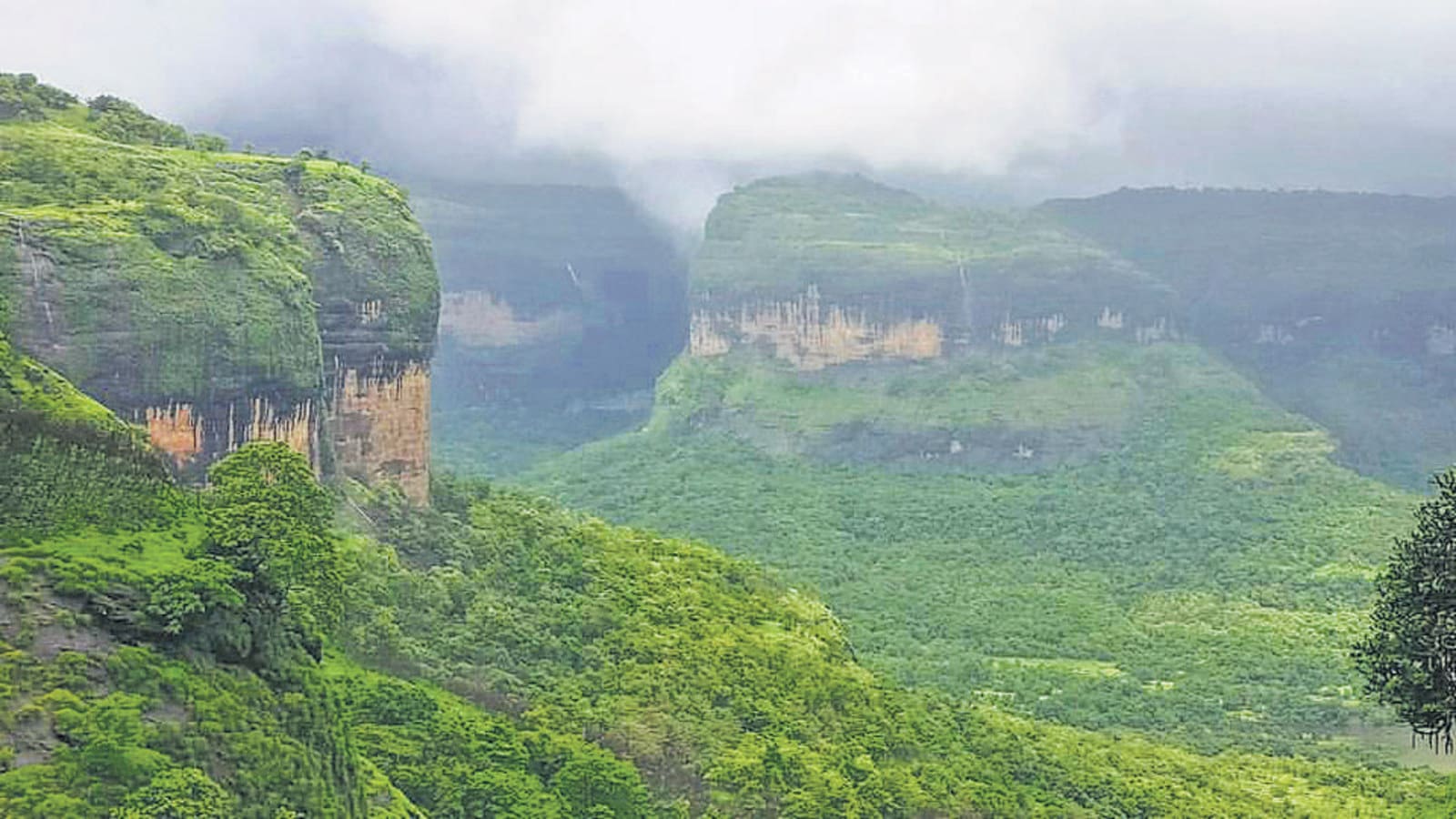 Saving Western Ghats ecosystem need of hour, say experts in Karnataka ...