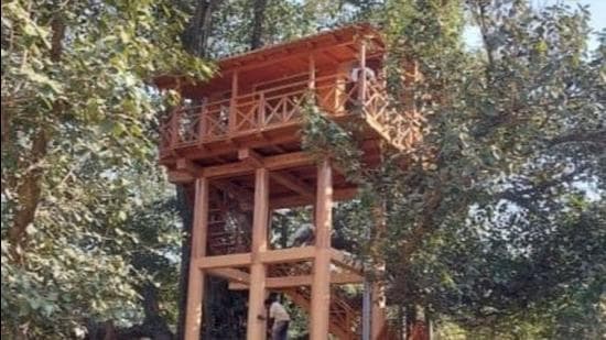 Uttarakhand’s first ever tree house to welcome tourists in Kumaon from ...