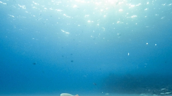 India to launch deep ocean mission by 2024: Union minister Jitendra ...