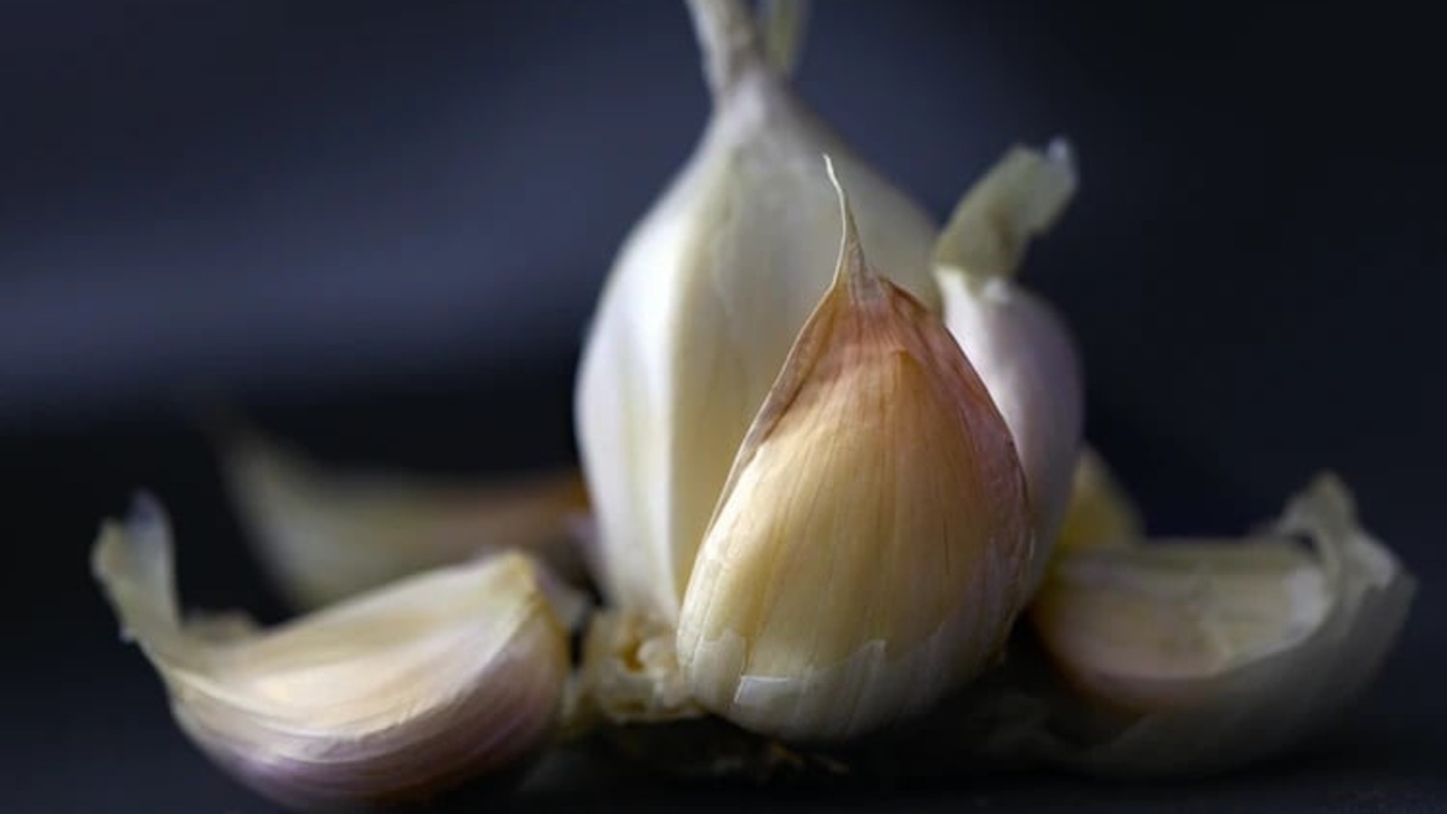 Upset at low price, MP farmer sets dozens of kilos of garlic on fire ...