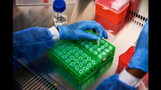 Sero surveillance begins in UP, samples to be sent to KGMU - Hindustan ...