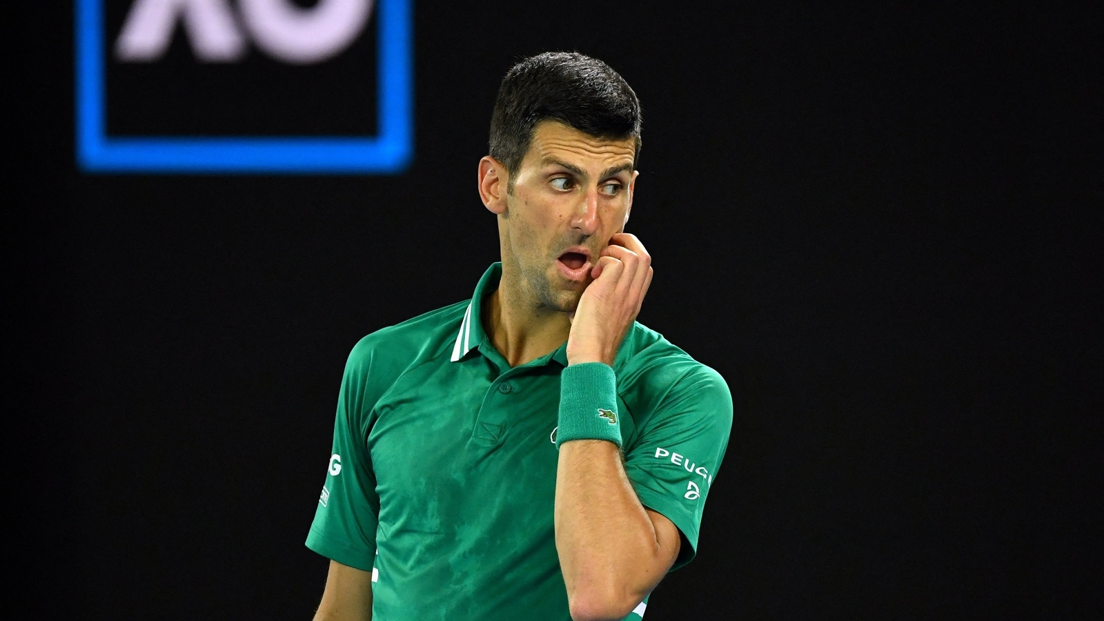Judge asks Novak Djokovic what more could he have done for a visa ...