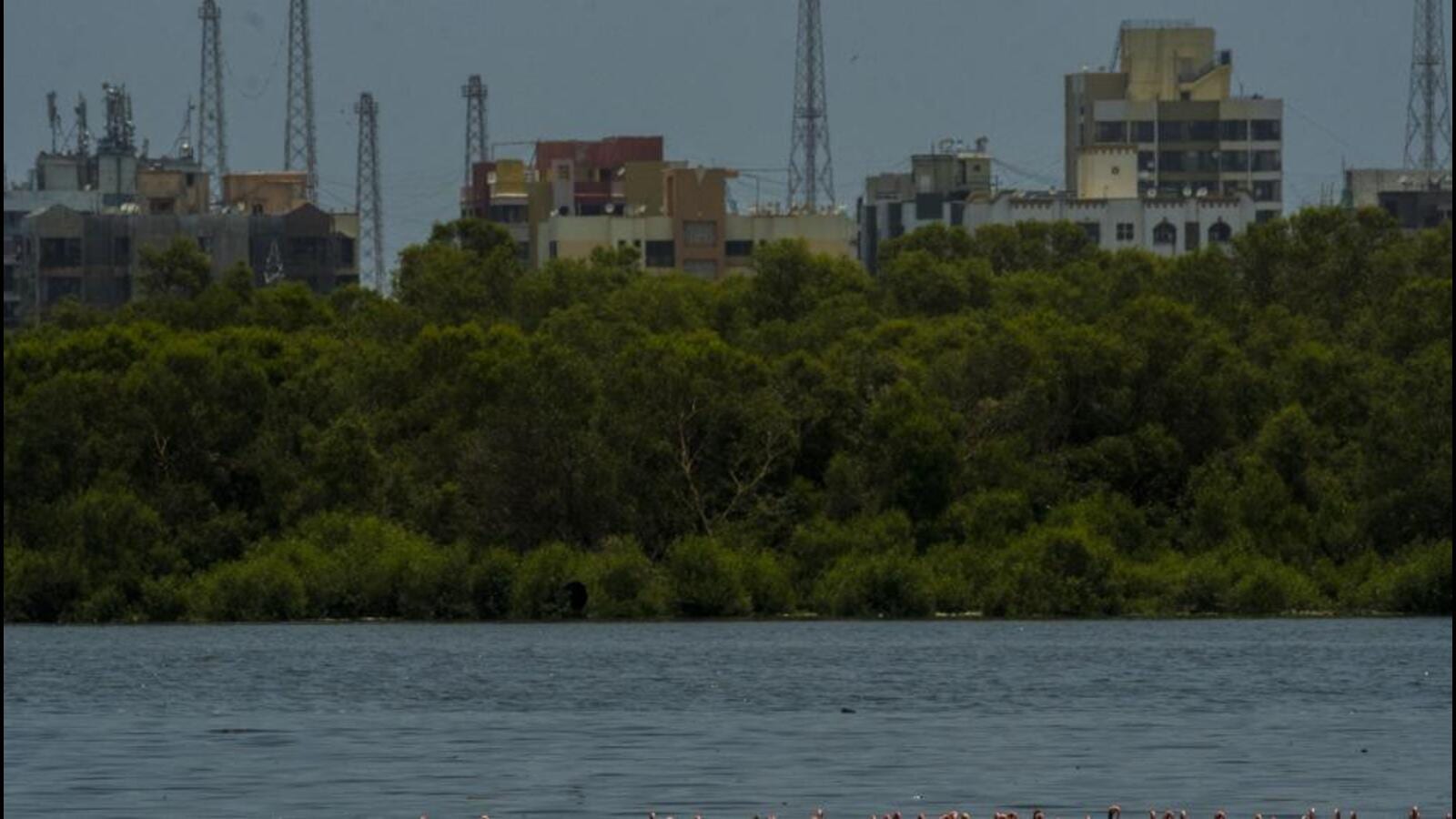 Poisar River rejuvenation plan finally set to see the light of day ...