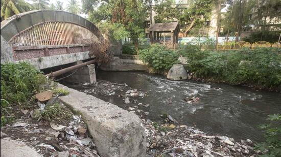 NGT instructs PMC to appoint committee for Ambil Odha work, submit ...