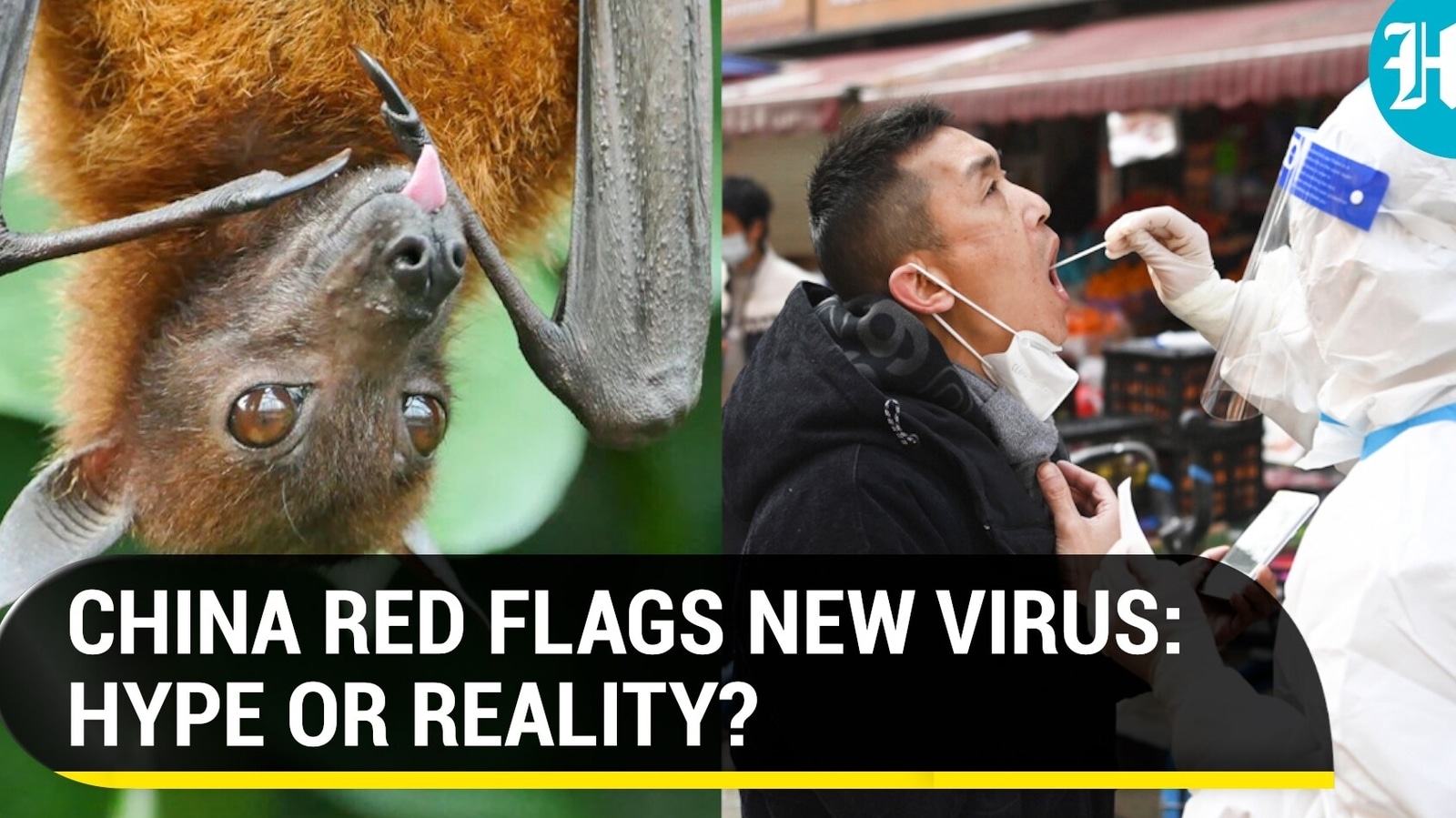 NeoCov: Wuhan scientists warn of new coronavirus; How worried should ...