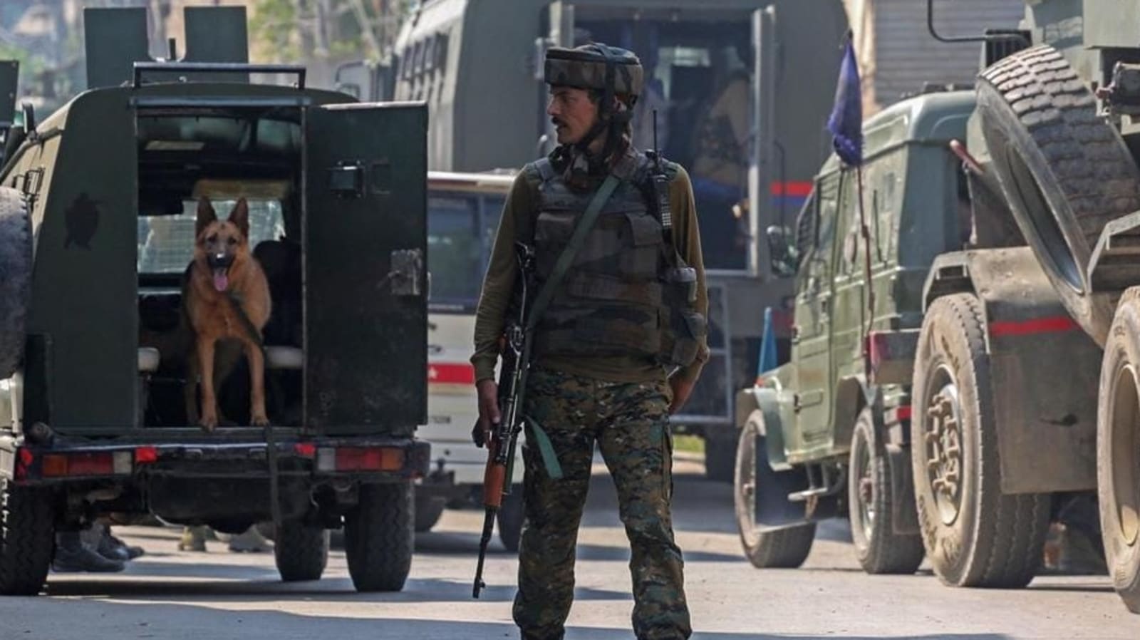 TRF terrorist killed in Pulwama encounter | Latest News India