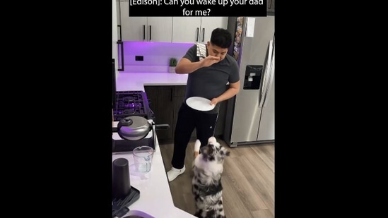 Humans use sign language to communicate with dog. Watch wholesome video ...