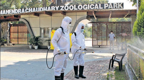 Chhatbir Zoo now open on Sundays also | Hindustan Times