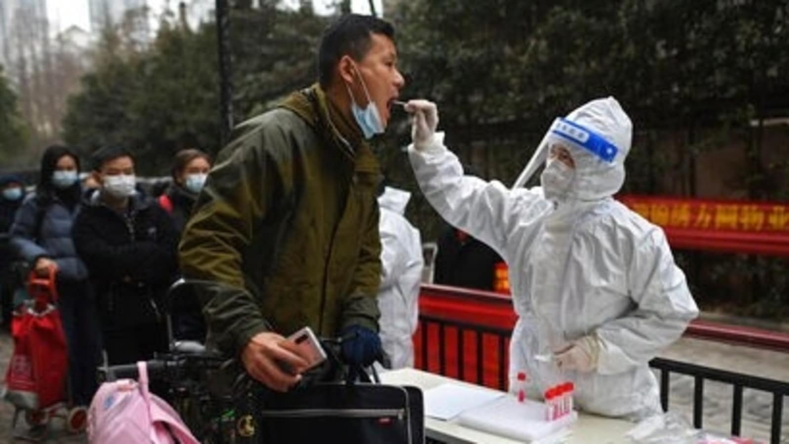 Fresh reports point to Wuhan market as origin of Covid-19 outbreak ...