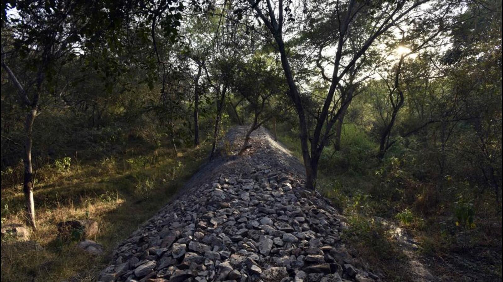Volunteer groups remove 874kg of garbage from Central Ridge in Delhi ...