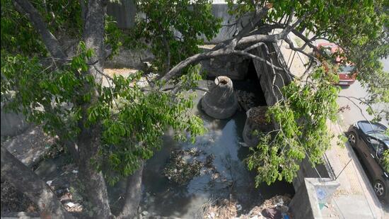 Stagnant sewage near canal irks residents of Shankar Sheth road in Pune ...