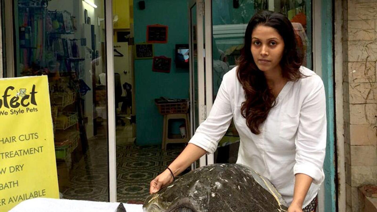 Researchers lose radio contact with Olive Ridley | Mumbai news