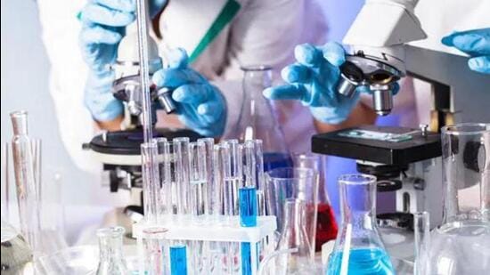 Bihar govt to tie up with IIT-P to develop science labs in 50 model ...