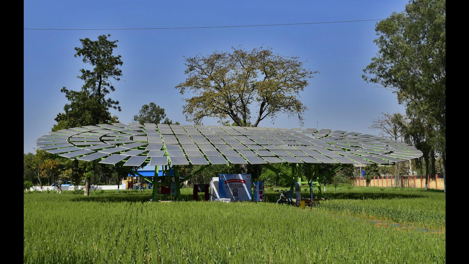 Ludhiana | CSIR-CMERI’s solar tree breaks Guinness World Record ...