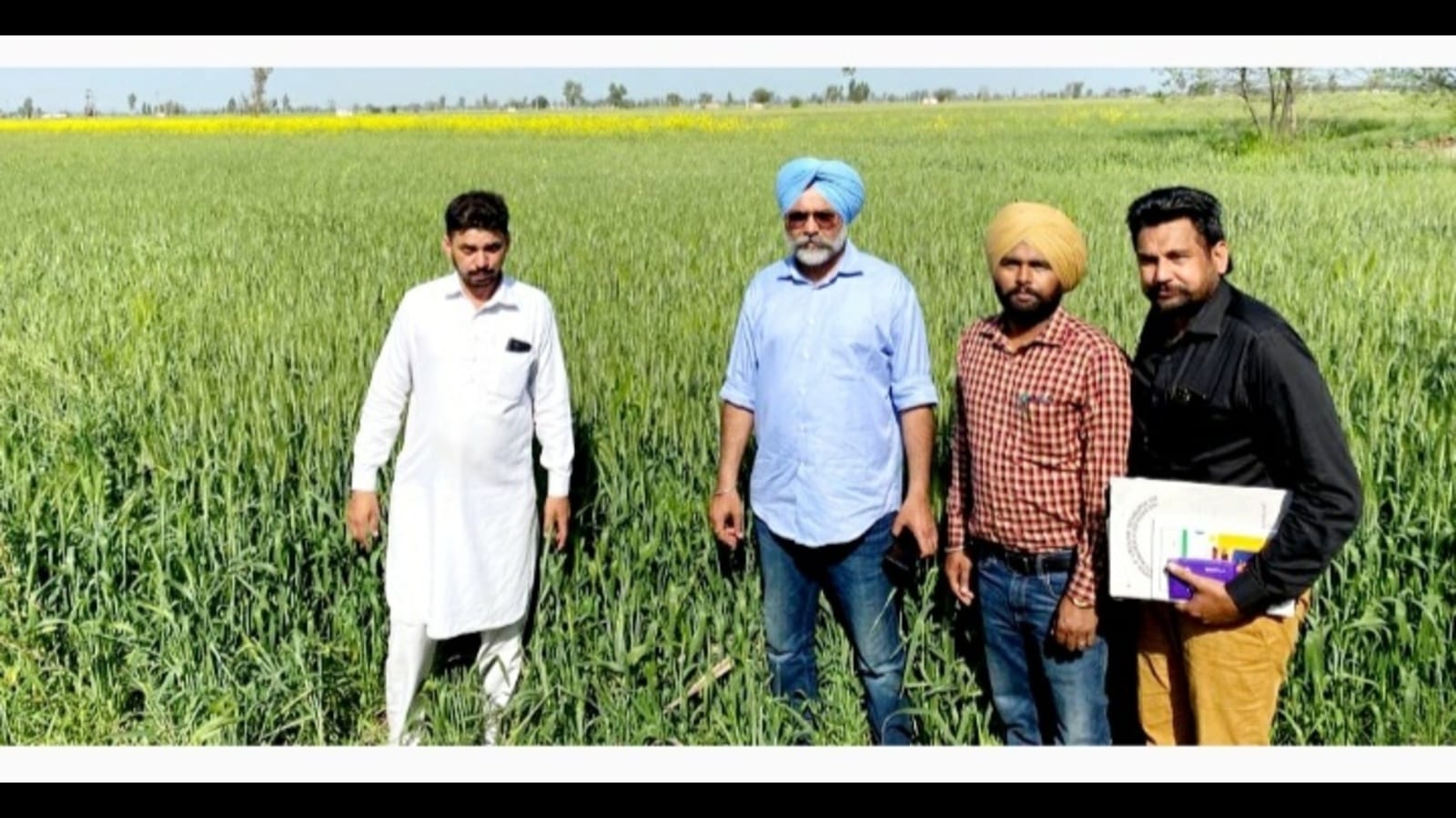 Rise in temperature: Farmers must go for light irrigation, caution ...