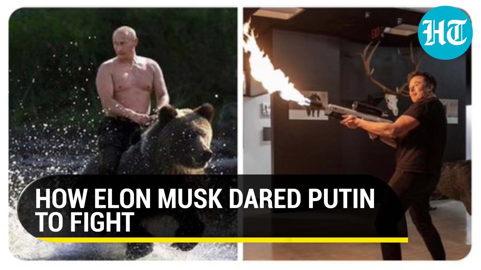 'Stakes are Ukraine': Elon Musk challenges Putin to ‘single combat ...