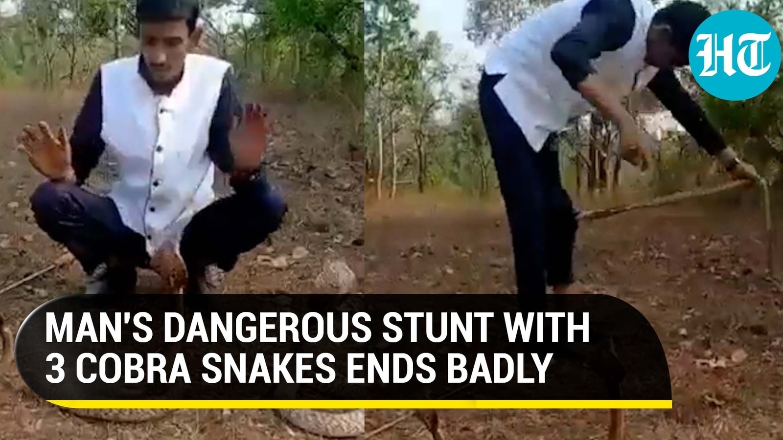 Stunt gone wrong: Indian snake enthusiast bitten by Cobra | Watch ...