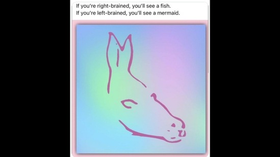 What do you see in this optical illusion - a mermaid or a fish? JKR ...