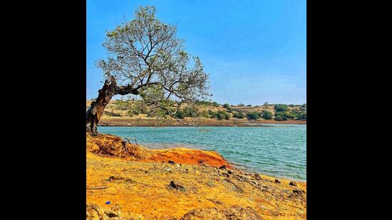 World Water day: A look at Mumbai’s freshwater and artificial lakes ...