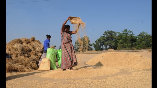 Punjab rice millers demand transparent policy, equal distribution of ...
