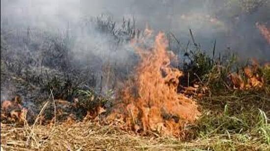 Gangster’s father sets himself on fire at police station in Ludhiana ...