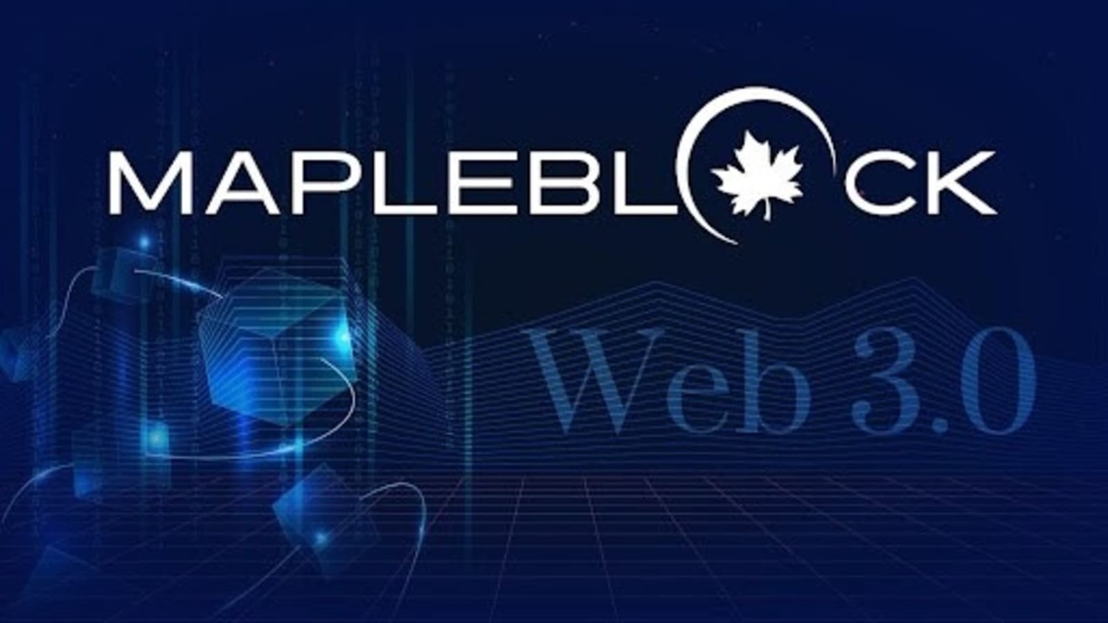 A framework for Web 3.0 investing by Mapleblock Capital - Hindustan Times