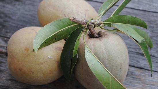 Amazing health benefits of chikoo from bone health to digestion ...