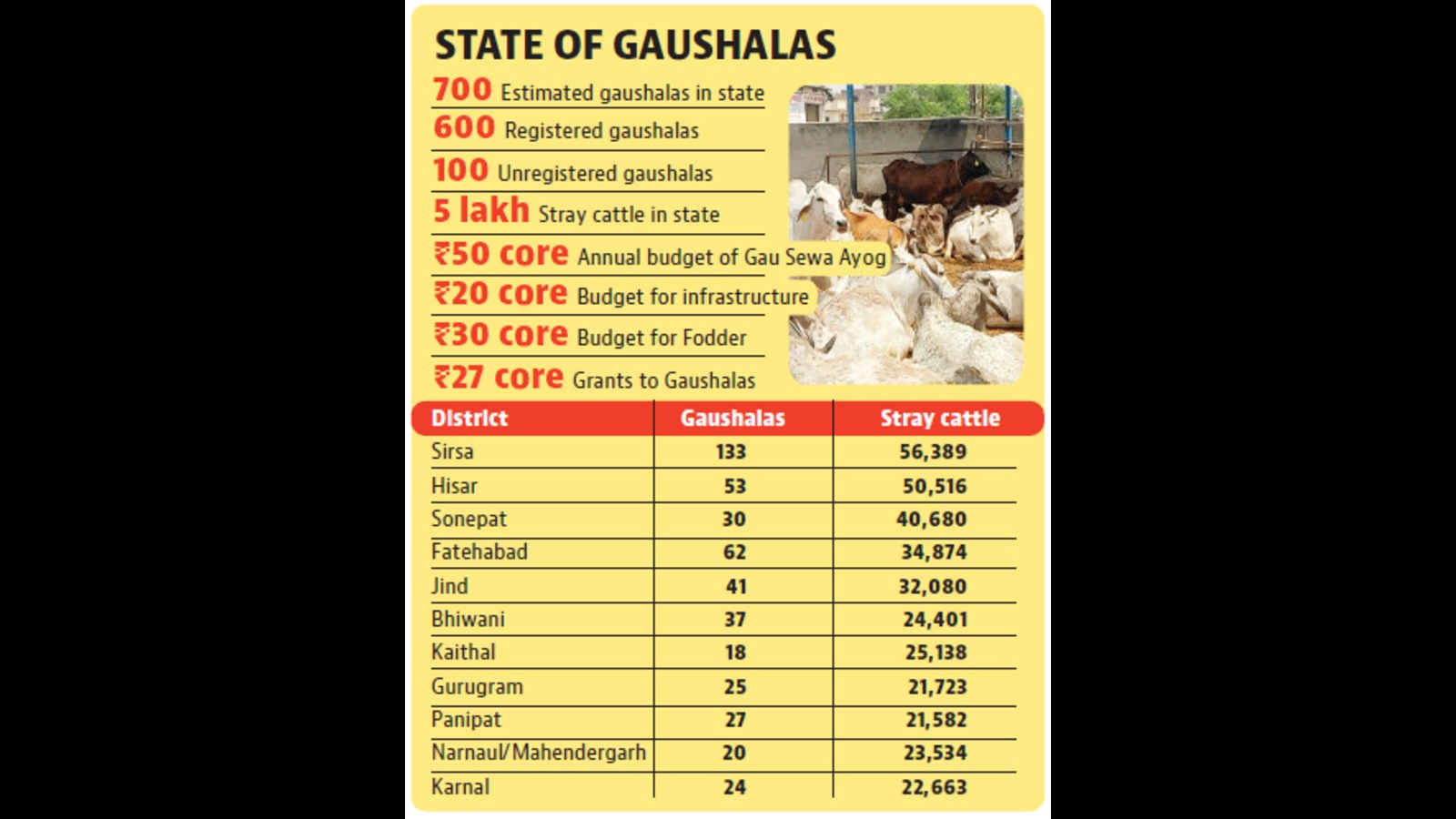 Rising stray cattle numbers leave Haryana gaushalas crowded - Hindustan Times