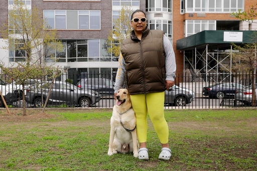 ‘Every pup is truly an individual’: Research shows breed doesn’t ...