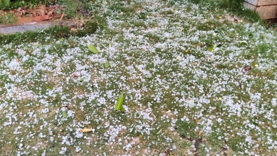 Watch: Bengaluru receives hailstorm and rain while heatwave bakes north ...