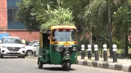 Beat the Delhi heat in this auto with a garden on its roof | VIDEO ...