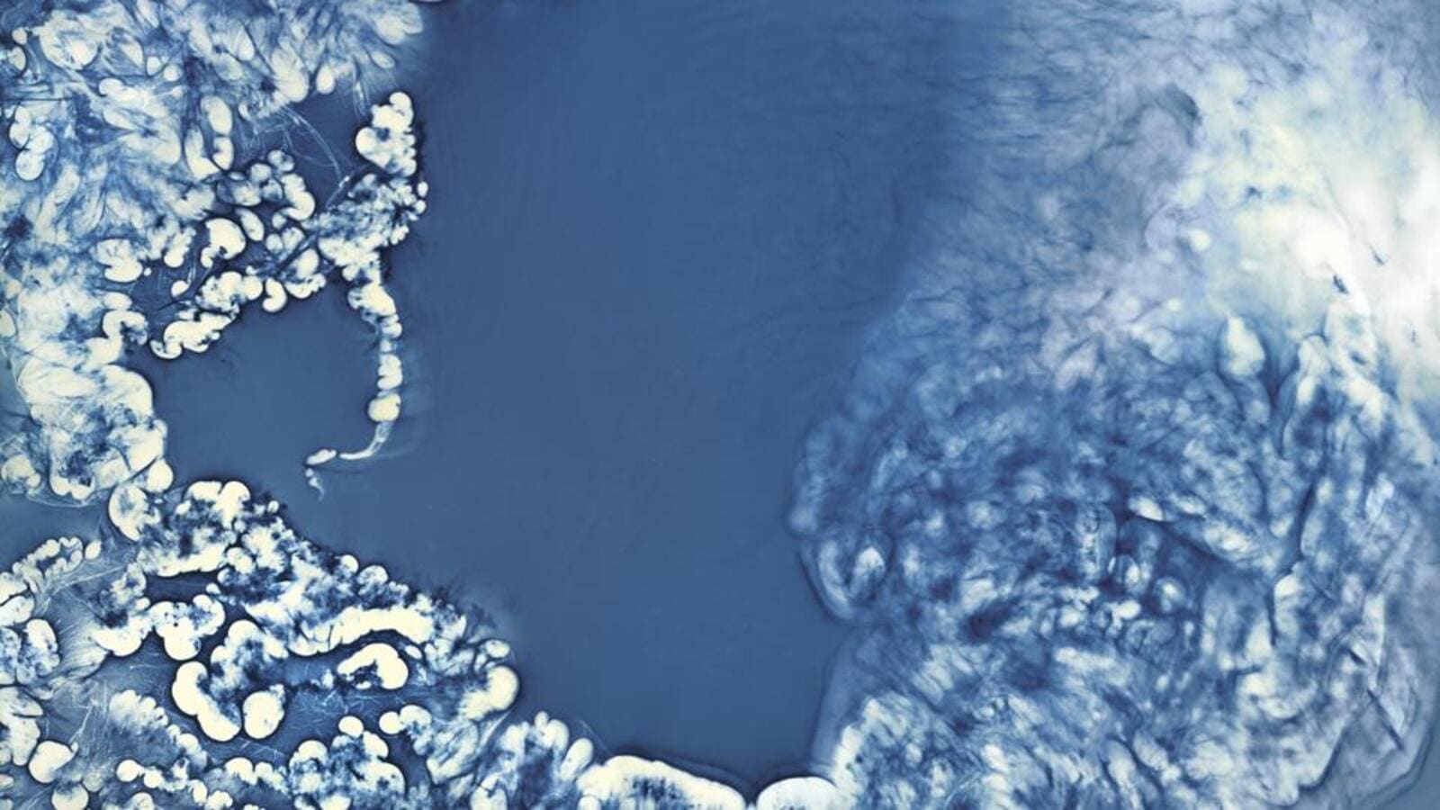 Delhi’s #ArtDiary: Cultural and historical milieu turns context for ...