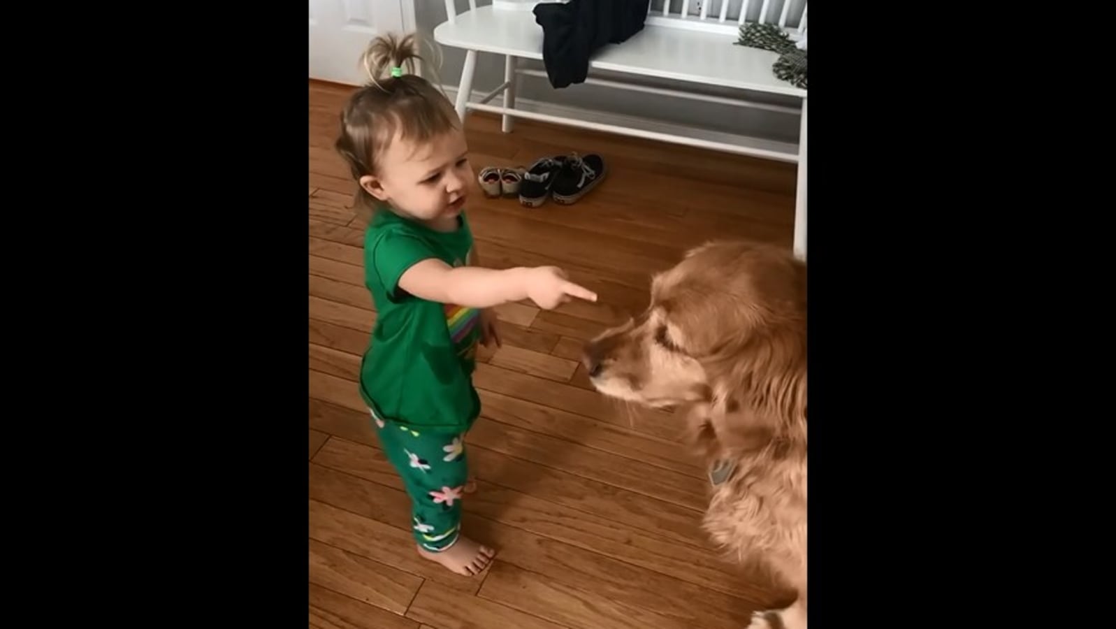 Baby asks dog to sit repeatedly, pooch’s reaction leaves people in ...
