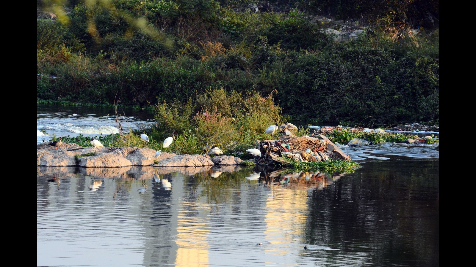 Pune riverfront project: PMCs response to NGOs queries to be submitted ...