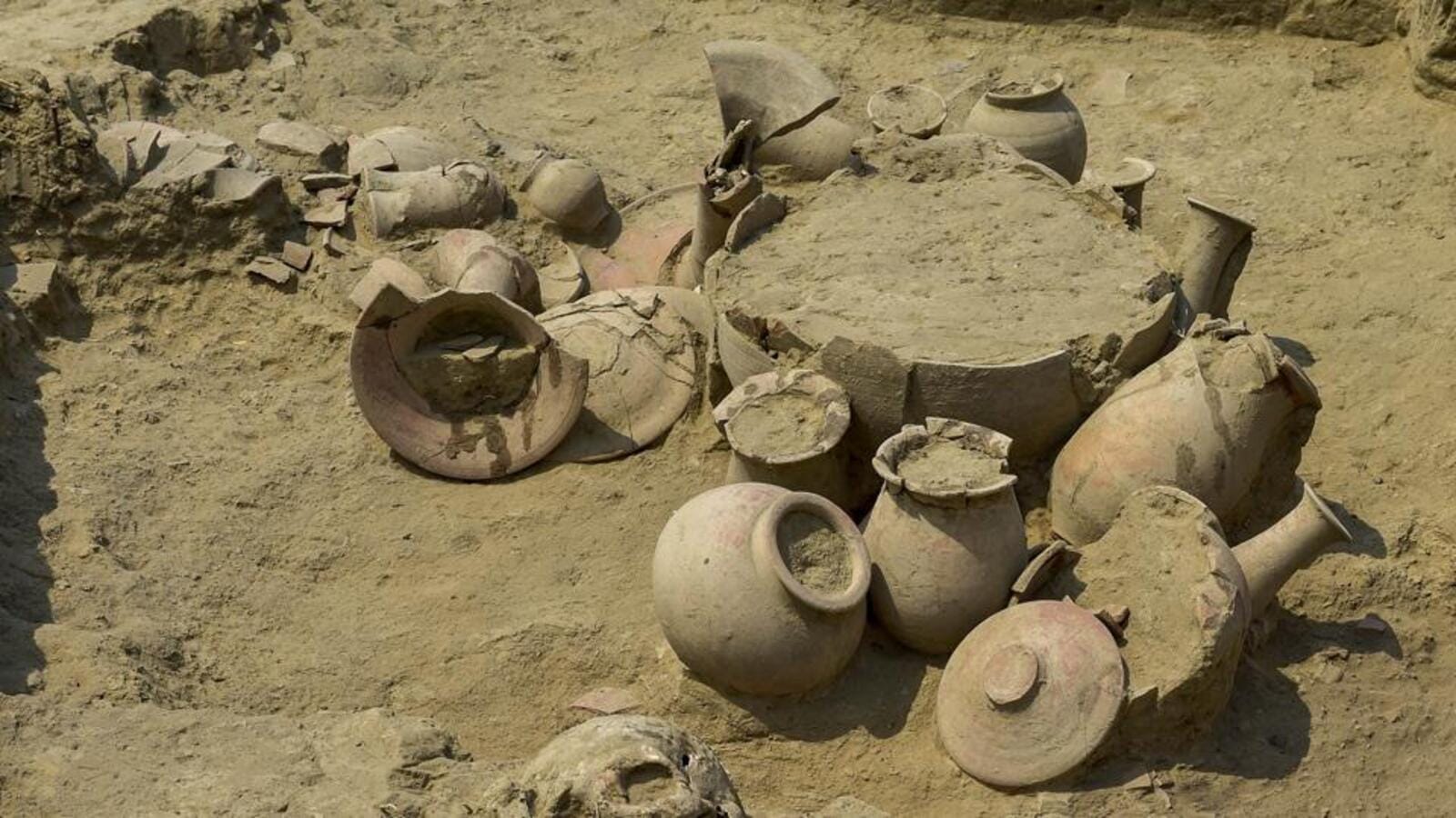 Harappan city: DNA samples of 2 skeletons now sent for analysis ...