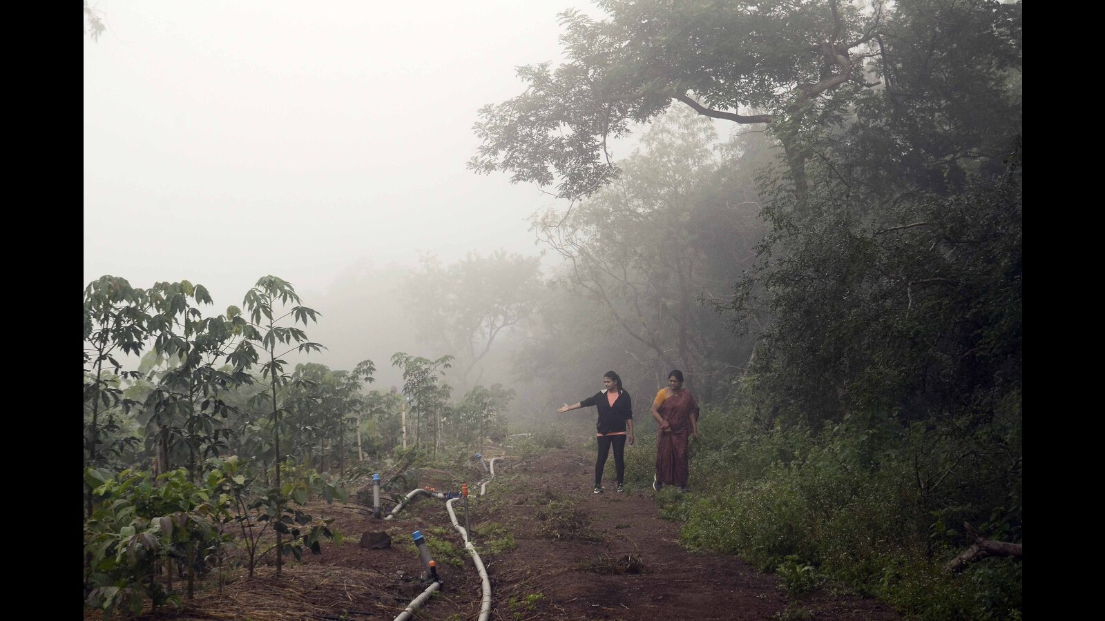 Save Taljai hills campaign to begin on May 15 | Hindustan Times