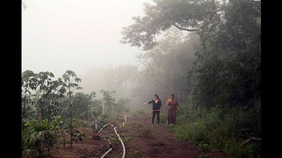 Save Taljai hills campaign to begin on May 15 | Hindustan Times