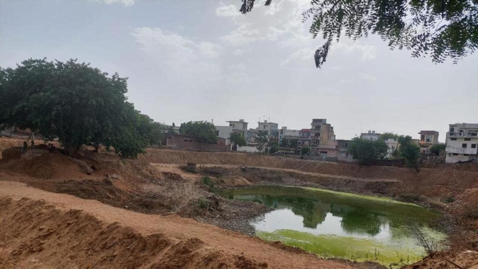 Municipal Corporation of Manesar to rejuvenate ponds in city, say ...