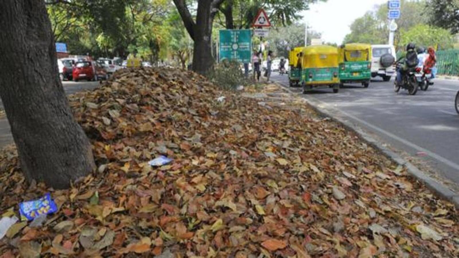 Chandigarh’s horticulture, plastic waste to be processed at new ...