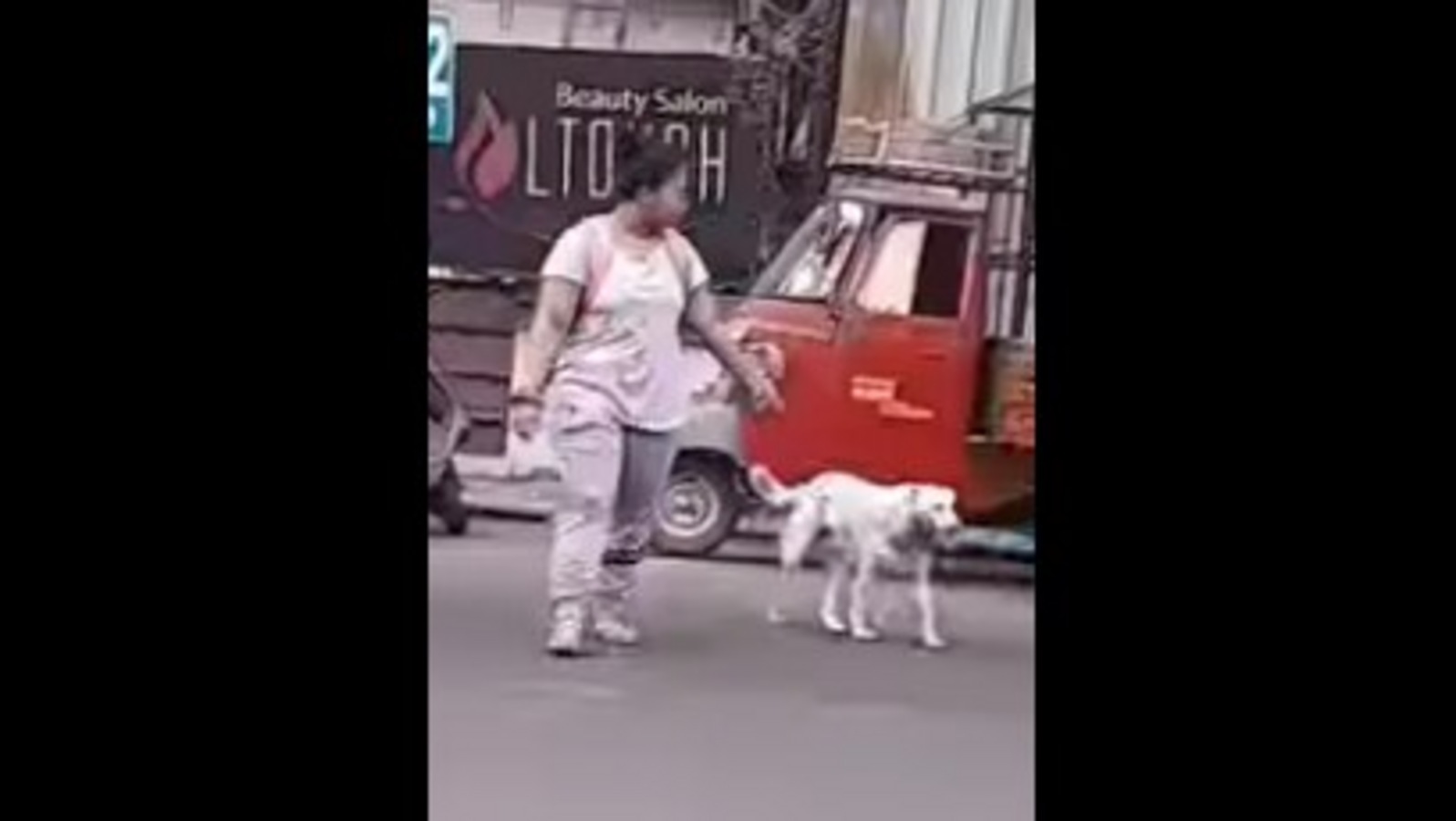 Woman helps street dog cross the road so she can go hug her human ...