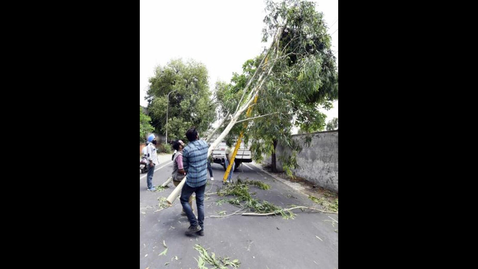 Uprooted trees, rain cause power outages in Ludhiana | Hindustan Times