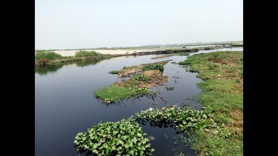 Haryana told to take action against grossly polluting industries ...