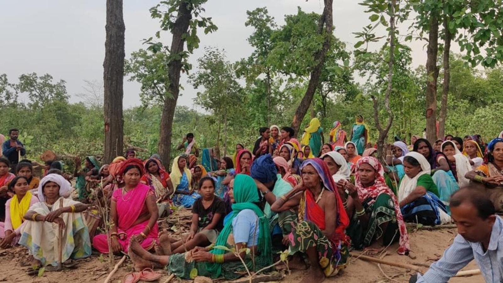 PEKB project tree-cutting starts in Chhattisgarh forest, paused after ...