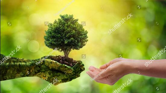 World Environment Day: Chandigarh MC kicks off week-long green campaign | Hindustan Times