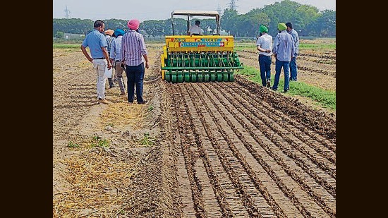 Paddy sowing: Punjab farmers miss DSR deadline | Hindustan Times