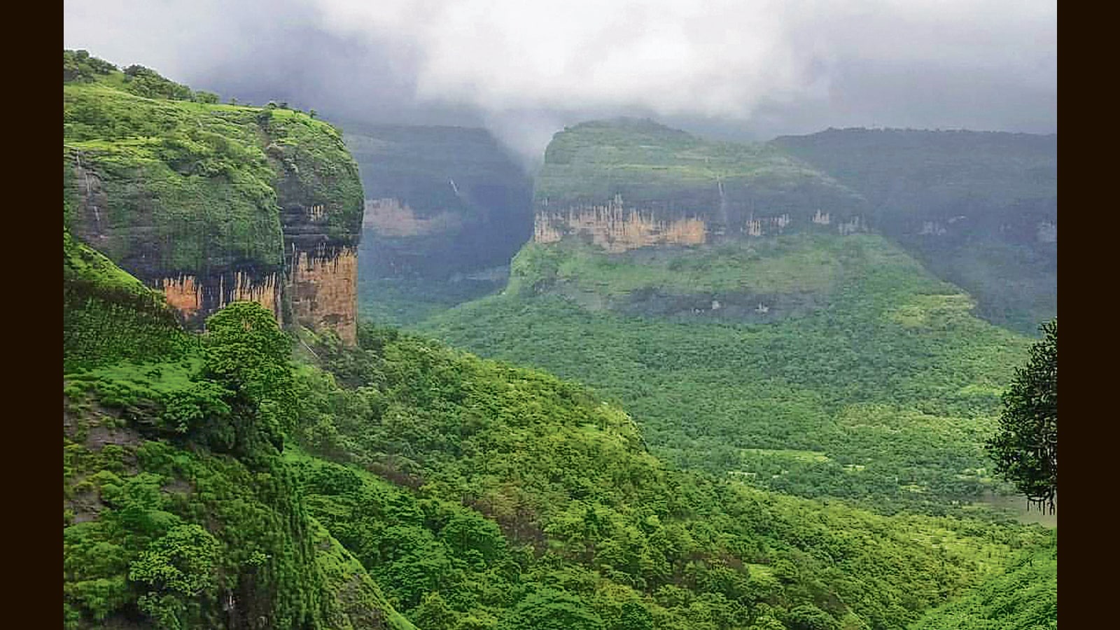 Maharashtra gets 12 new conservation reserves and three wildlife ...